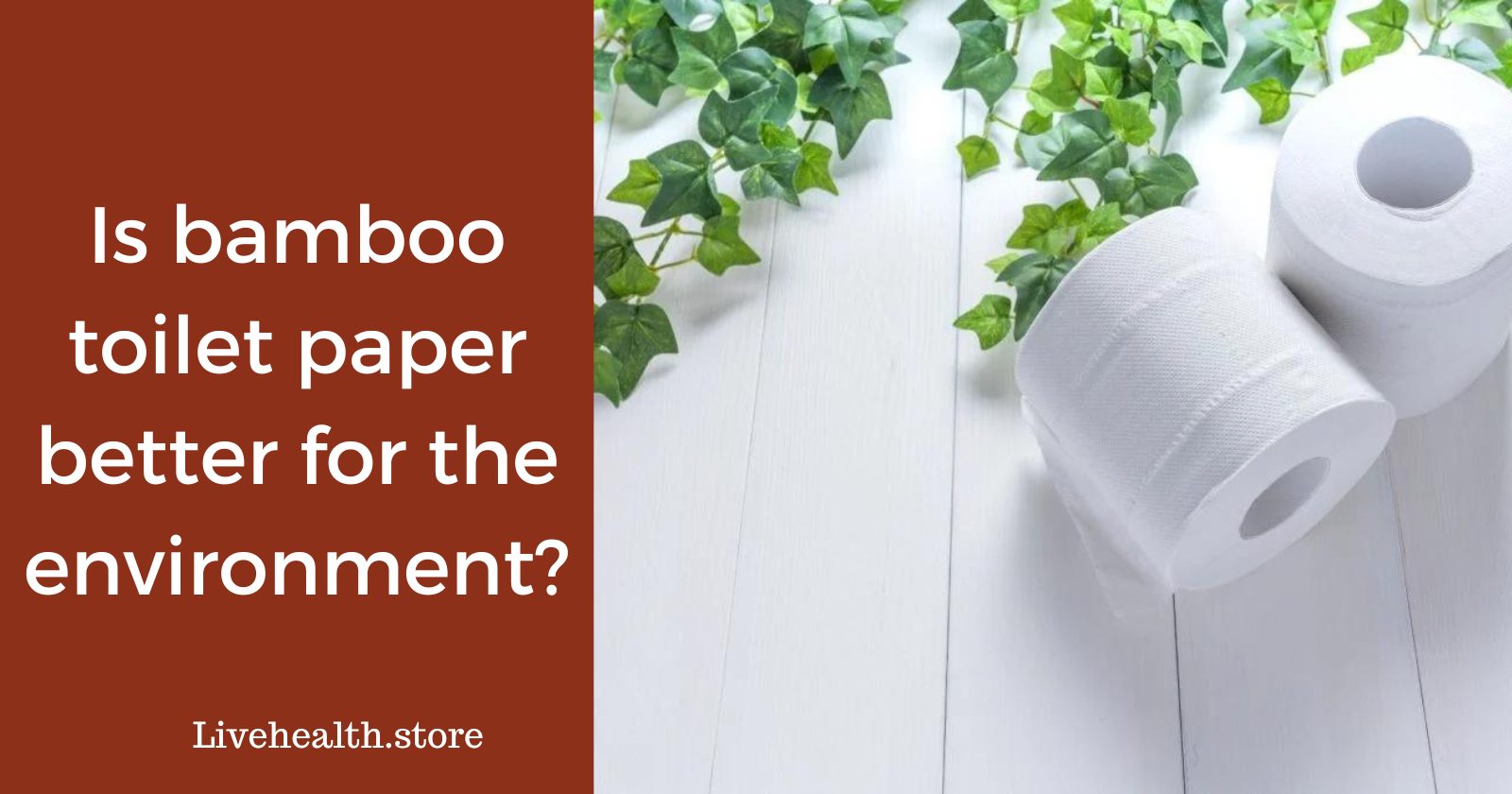 Is Bamboo Toilet Paper Better For The Environment - Live Health