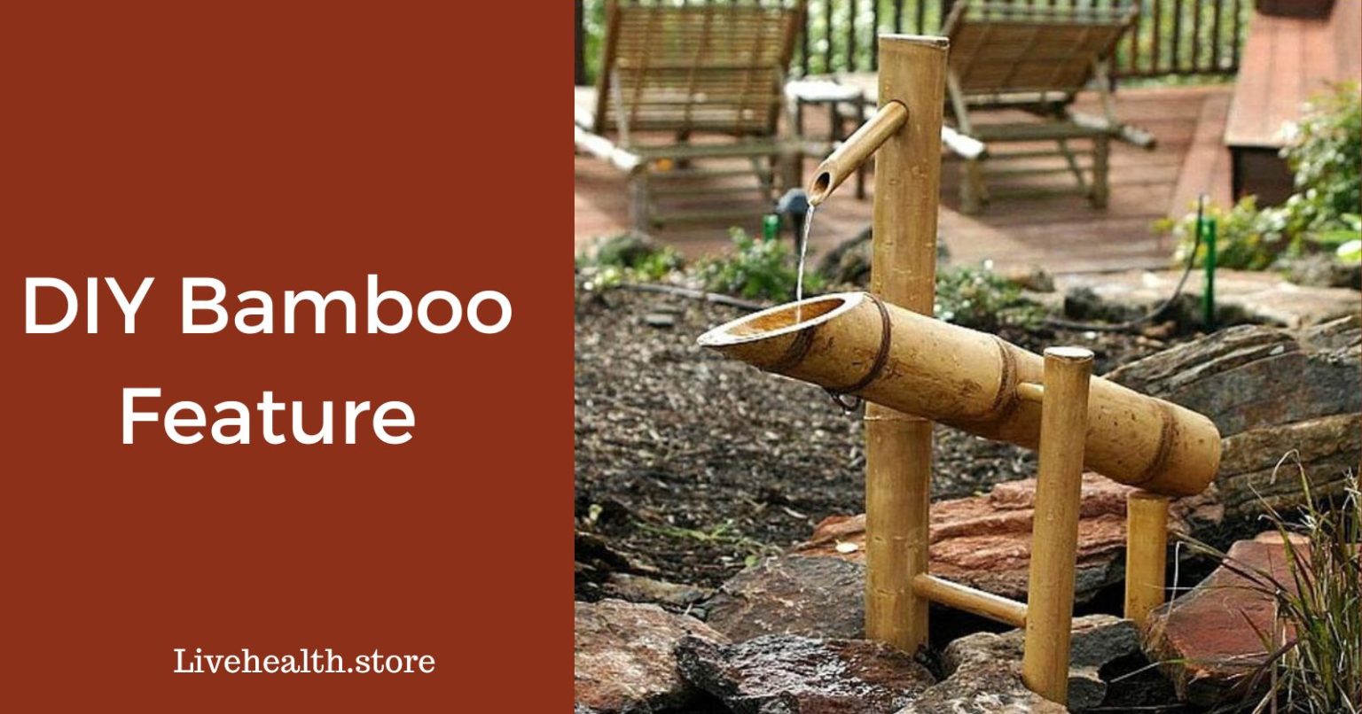 Make A Bamboo Water Feature - Live Health
